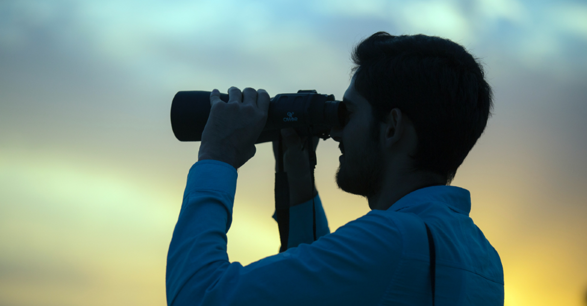 Internal site search: help people find what they're looking for